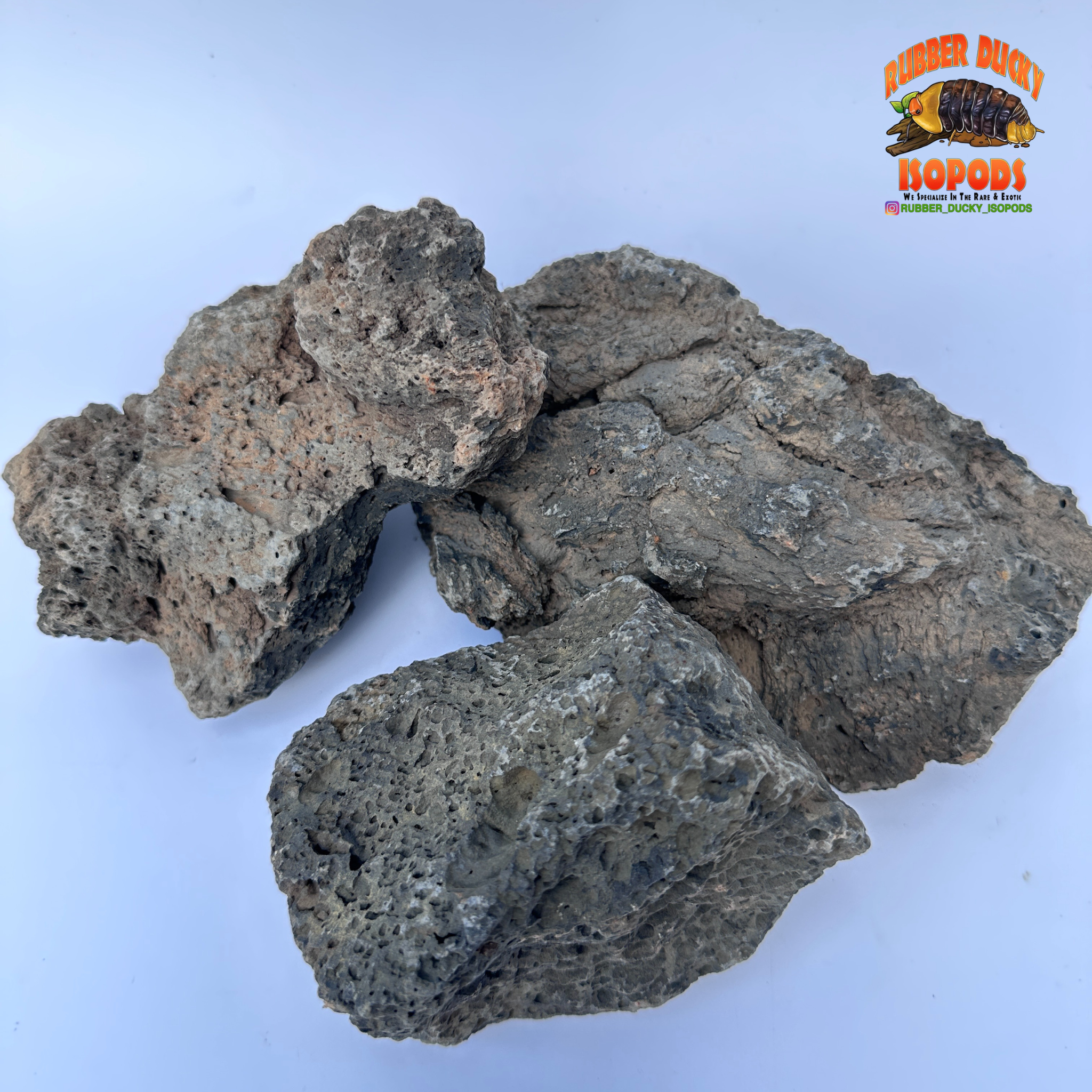 Icelandic Lava Rock | Bioactive Hardscape for Isopods & Reptiles