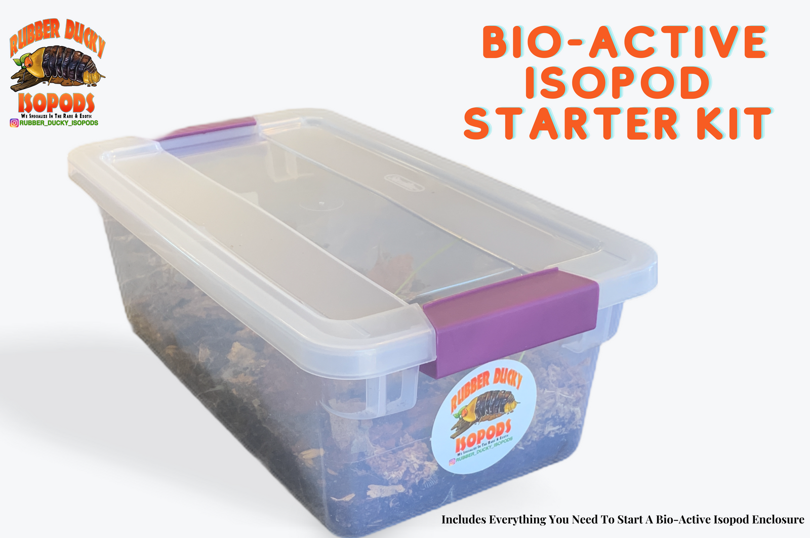 Bio-Active Isopod Soil Starter Kit Complete WITH Your Isopod Choice