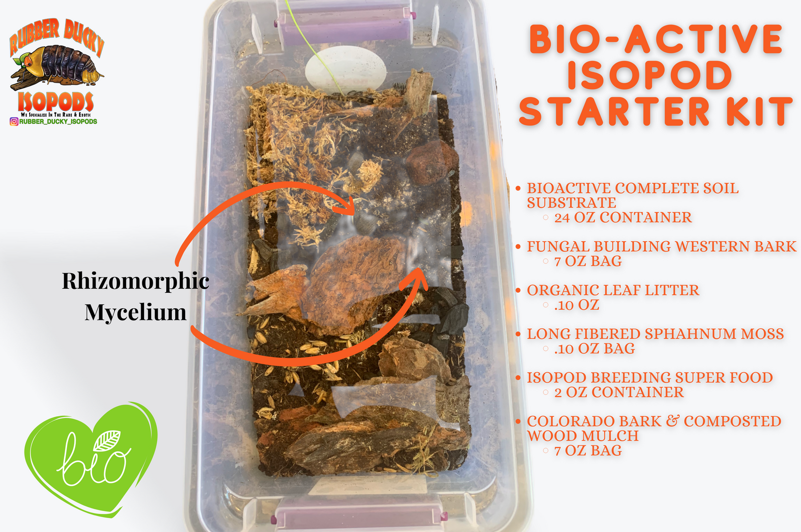 Bio-Active Isopod Soil Starter Kit Complete WITH Your Isopod Choice