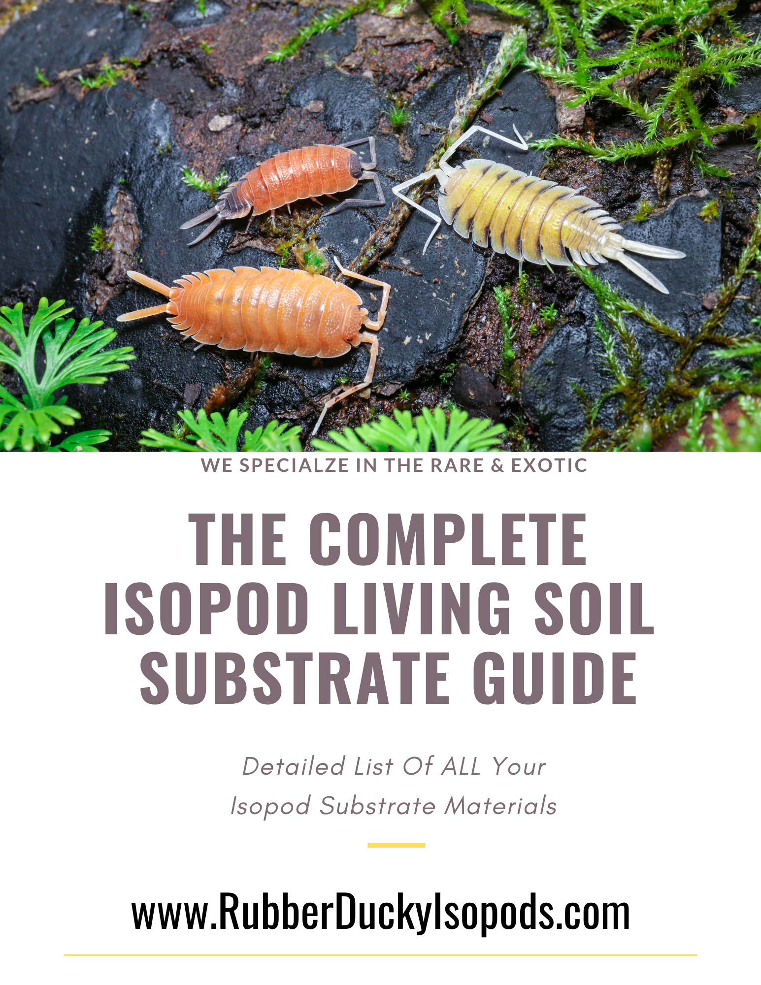 The Complete Isopod Bio-Active Living Soil Substrate Guide (2024)